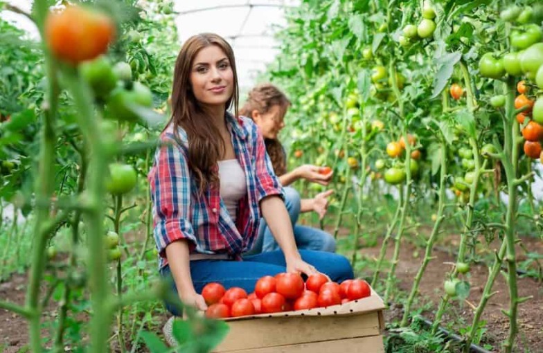Η συμβολή των γυναικών στην αγροτική ανάπτυξη - Προοπτικές και εργαλεία ...