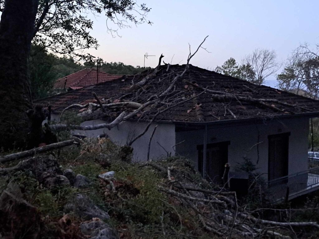 Έπεσε πλάτανος πανω σε σπίτι στο Ξυλοπάροικο (φωτό)